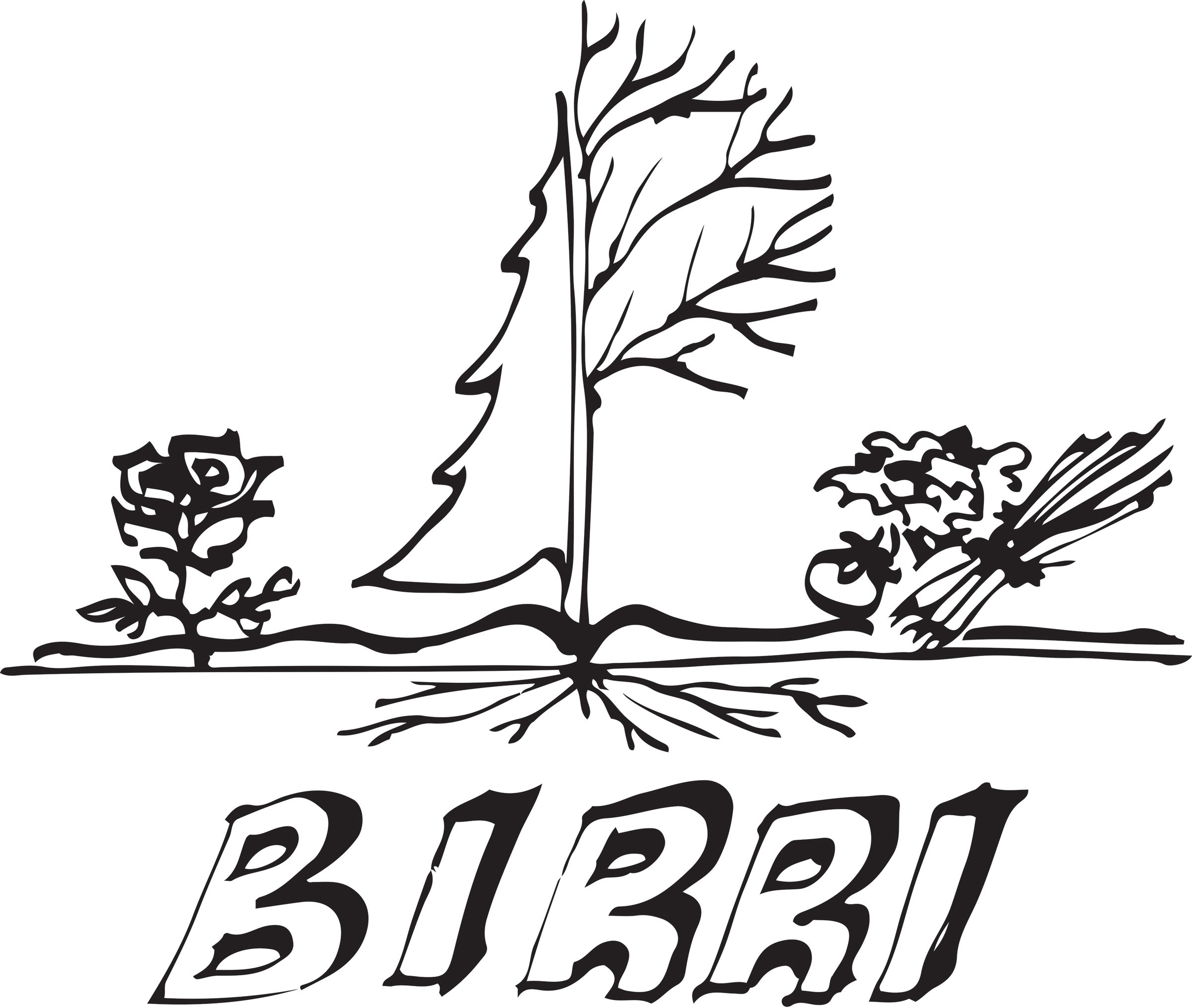 Semences | Birri